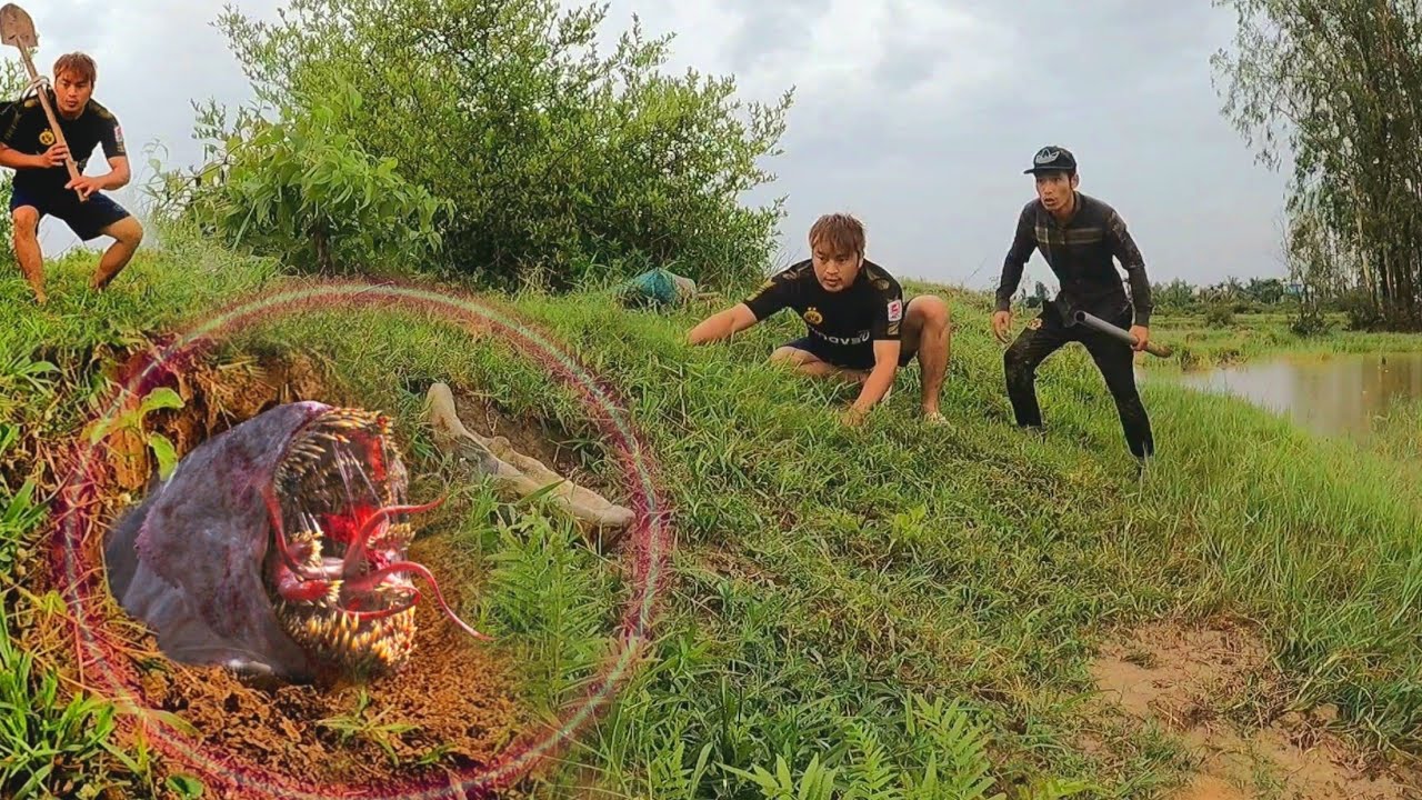 2 scared young men ran away and discovered a giant python burrow in a ...