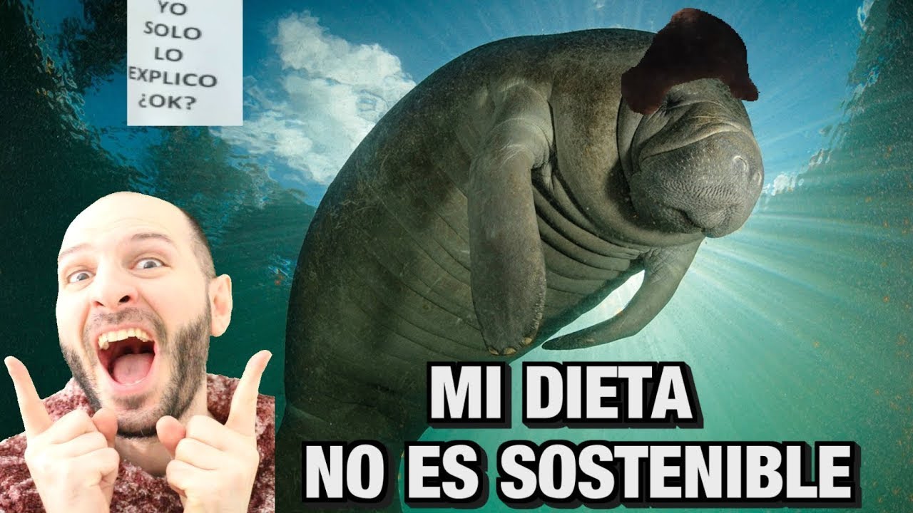 ESPECIAL EN DIRECTO DE SASEL - YouTube