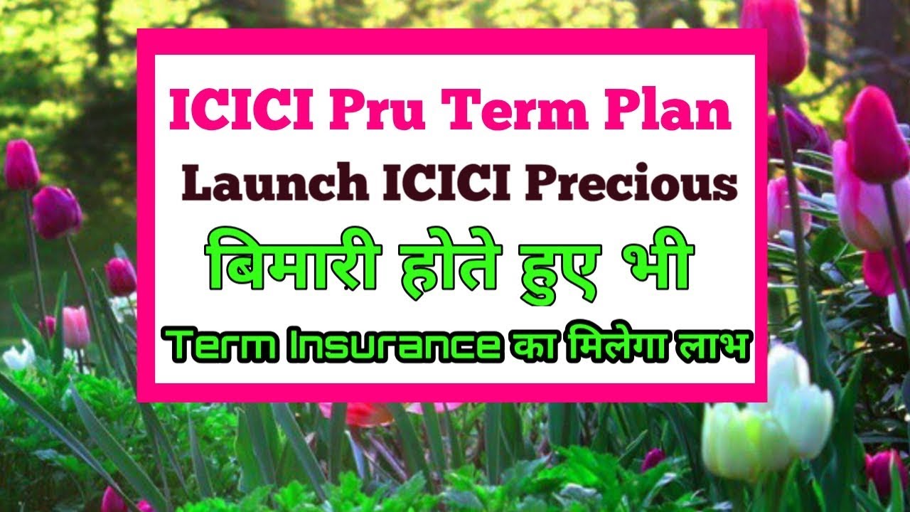 ICICI Launched New Term Insurance Plan ICICI Prudential Precious Life ...