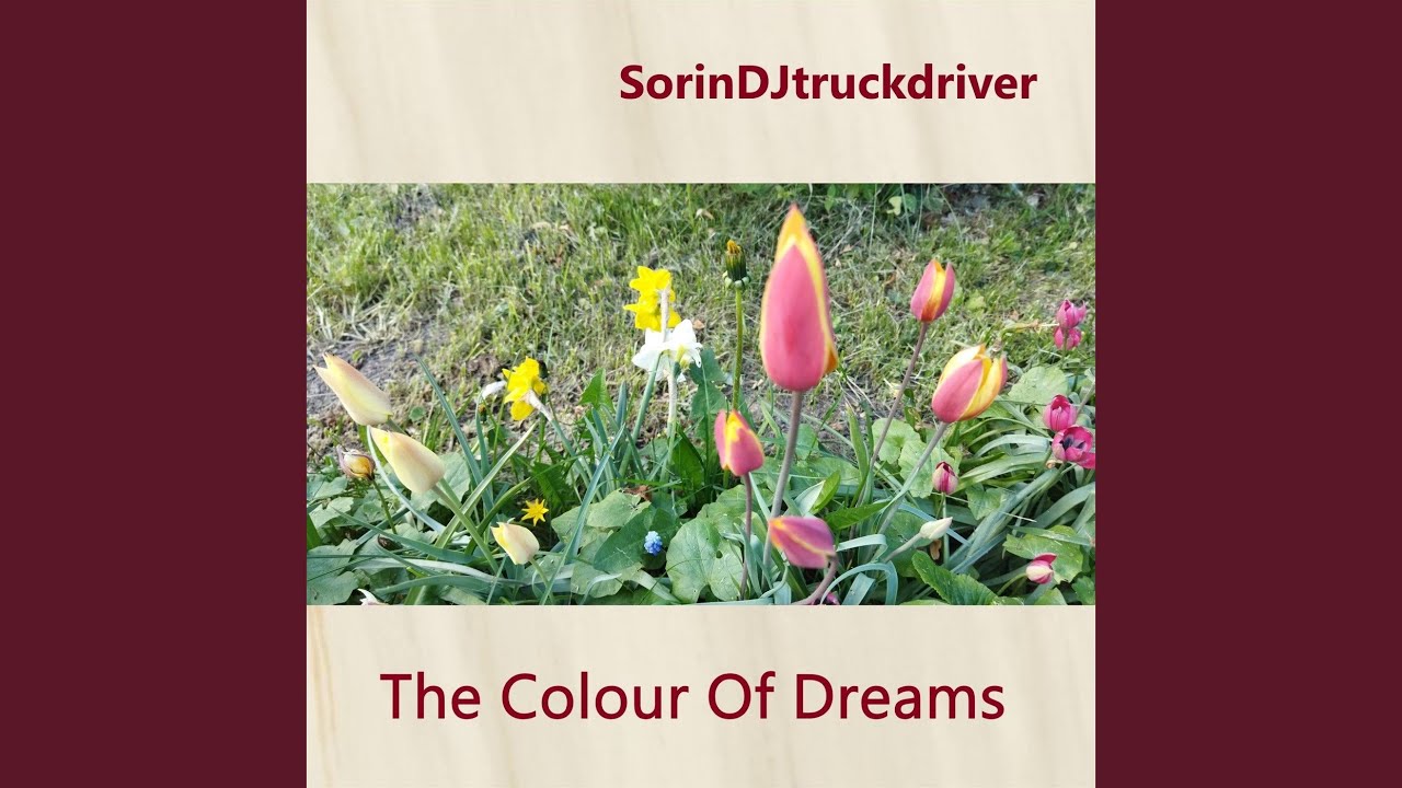 The Colour of Dreams - YouTube