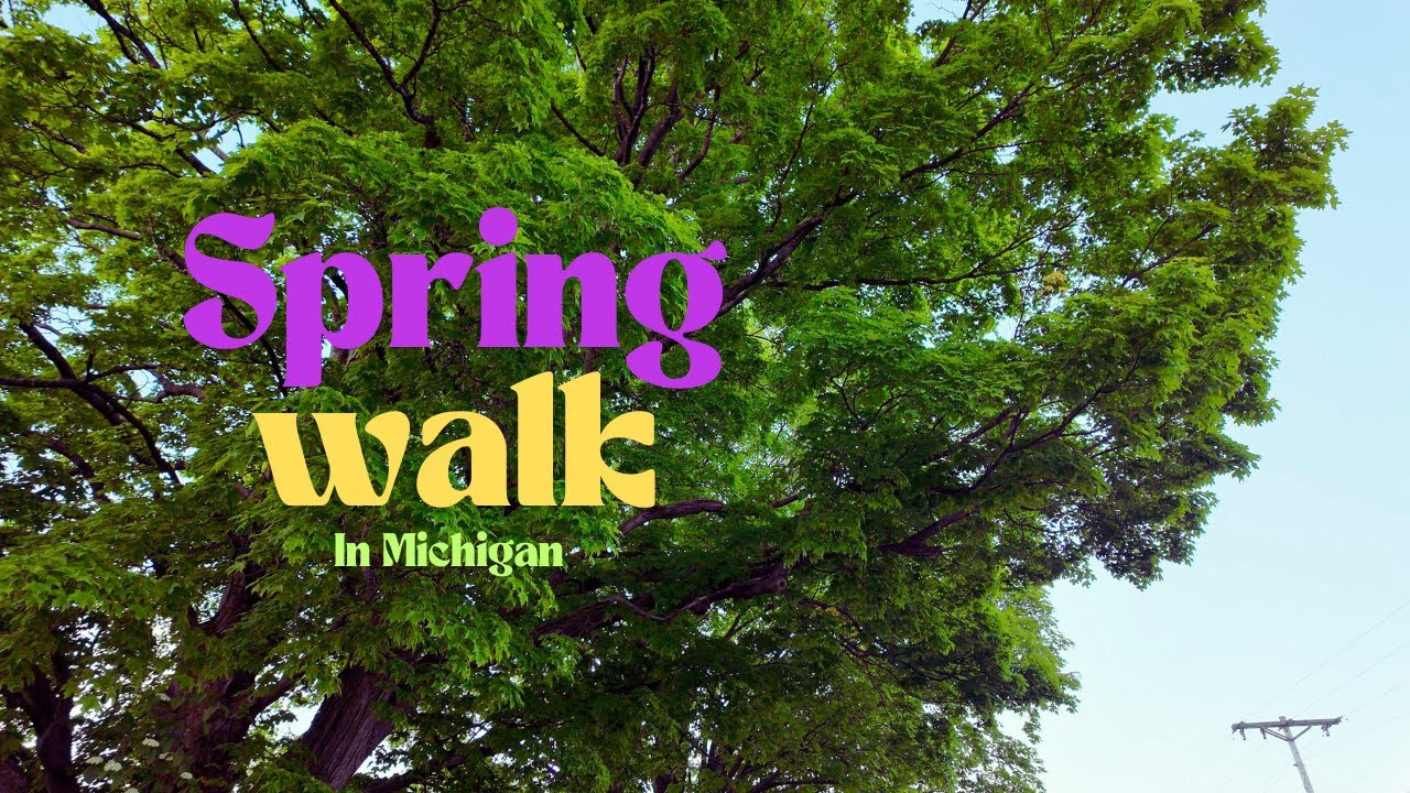 Beautiful Spring Walk - YouTube
