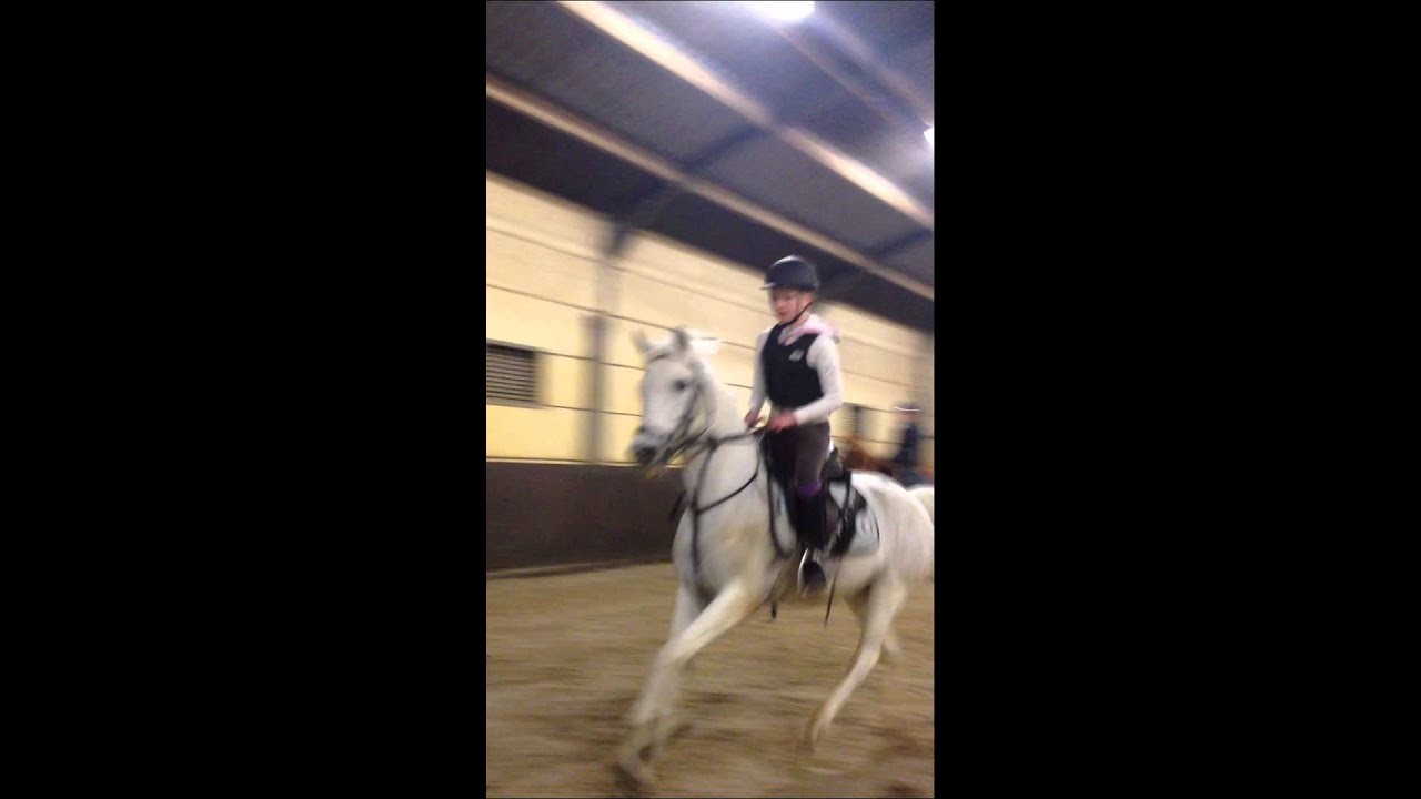 Kristy&Sneeuwwitje springen bij Manege Berestein. - YouTube