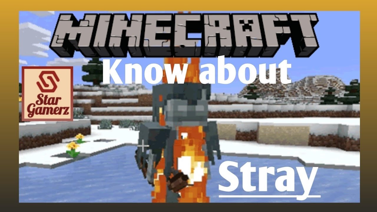 Stray in Minecraft | For Basic Learners - YouTube