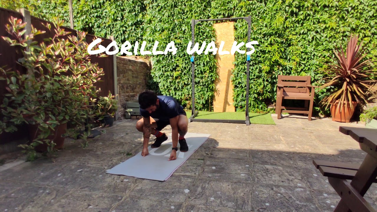 Gorilla walks - YouTube