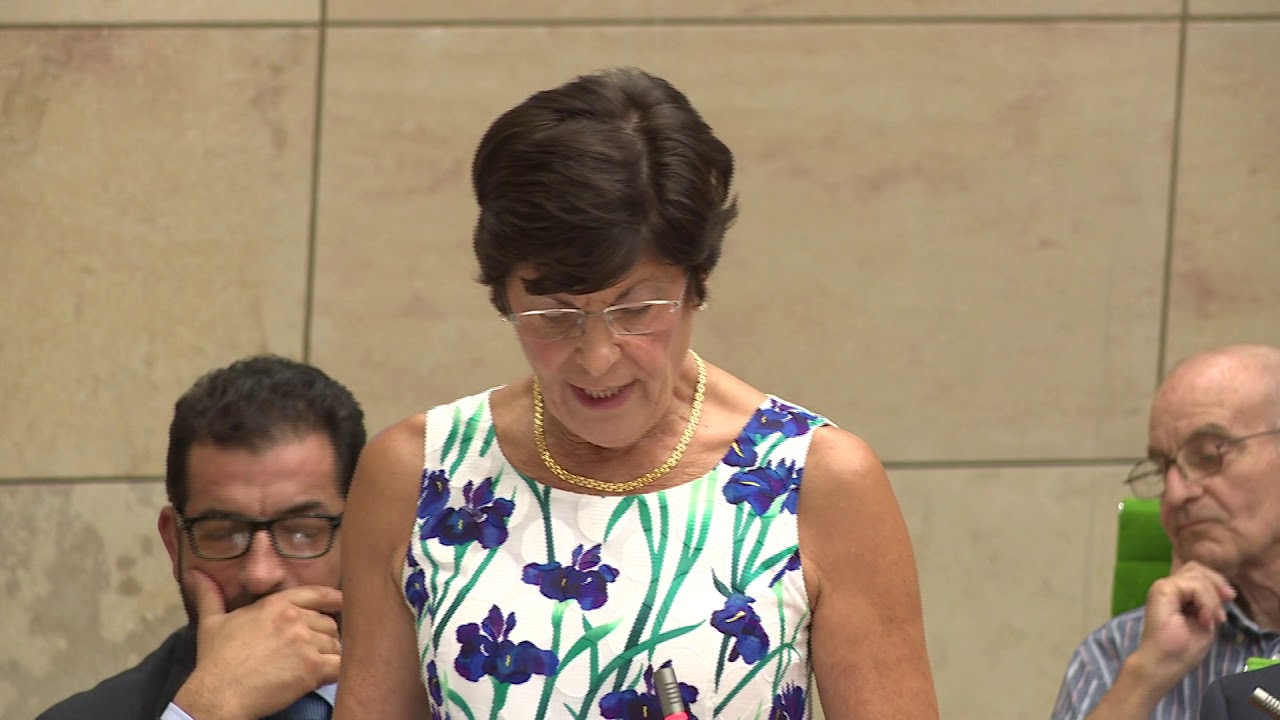 SEDUTA PARLAMENTARI DWAR IN-NANNIET - YouTube