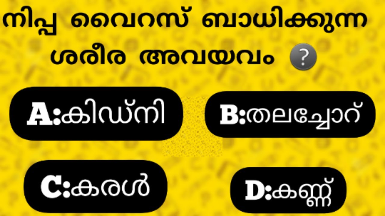 Episode :86/general knowledge quiz in malayalam //gk//gk//psc - YouTube
