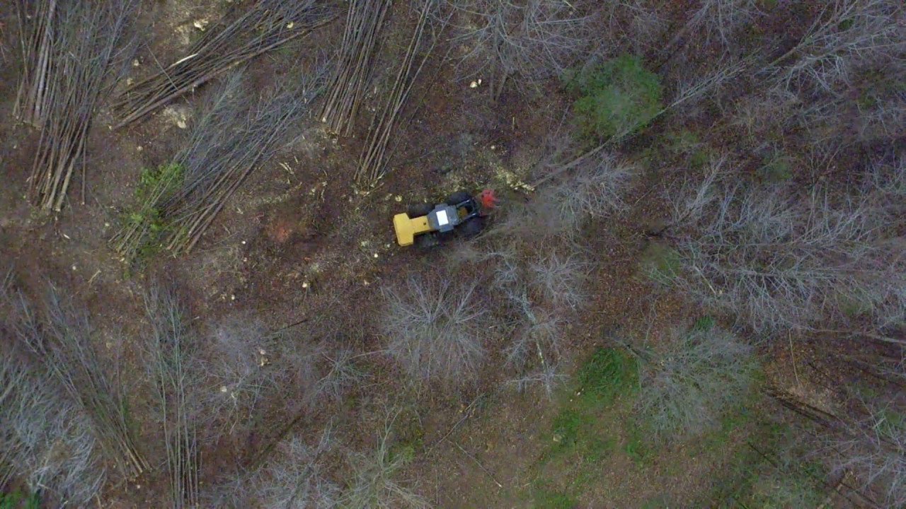 drone logging - YouTube