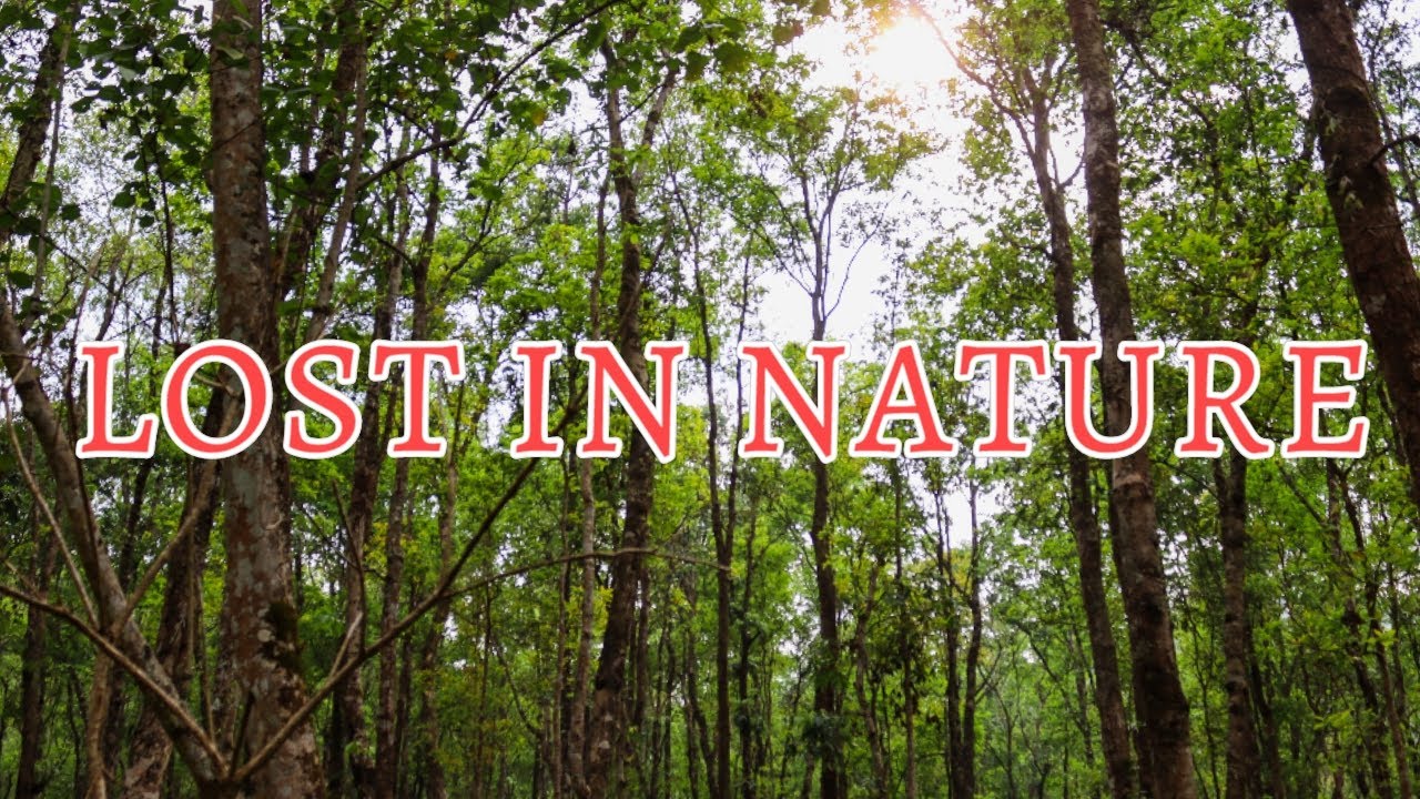 Lost in Nature | Nepal |Short cinematic video - YouTube