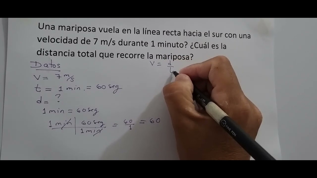 Una mariposa vuela en la línea recta hacia el sur con una velocidad de ...