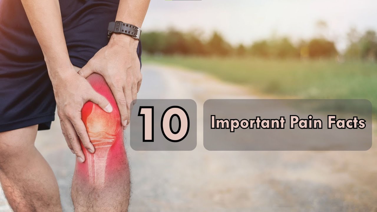 10 Important Pain Facts - YouTube