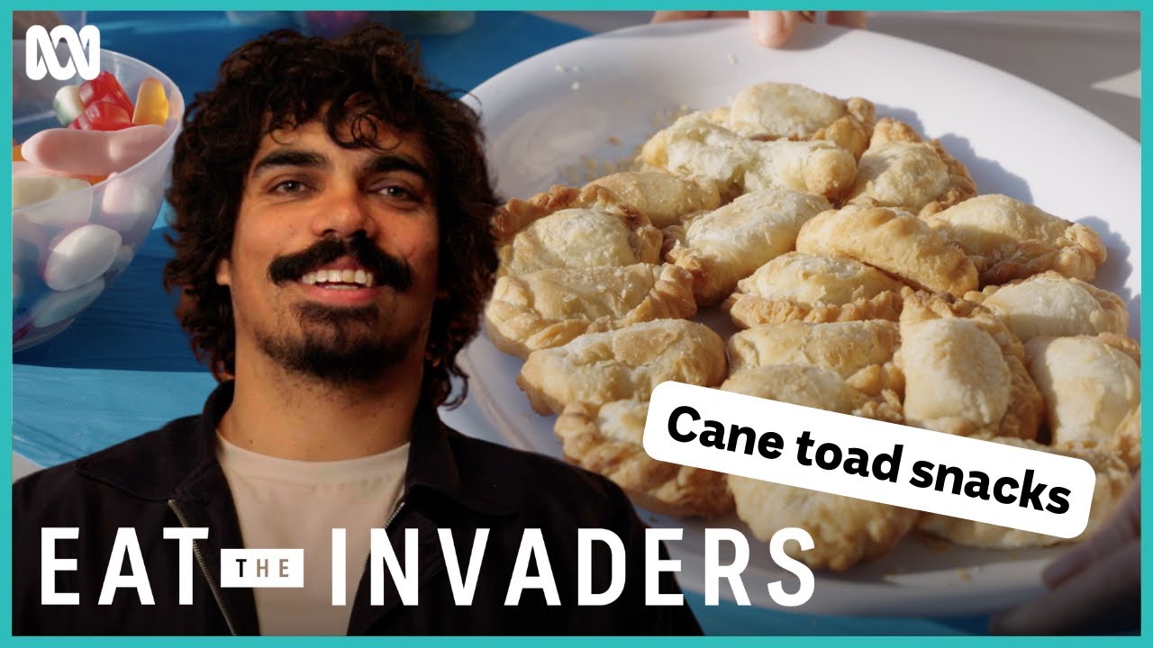 Could toxic cane toads be on the menu? | Eat The Invaders | ABC iview ...