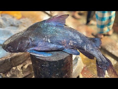 Giant Catfish Cutting Skills Live In Fish Market || Including Catfish ...