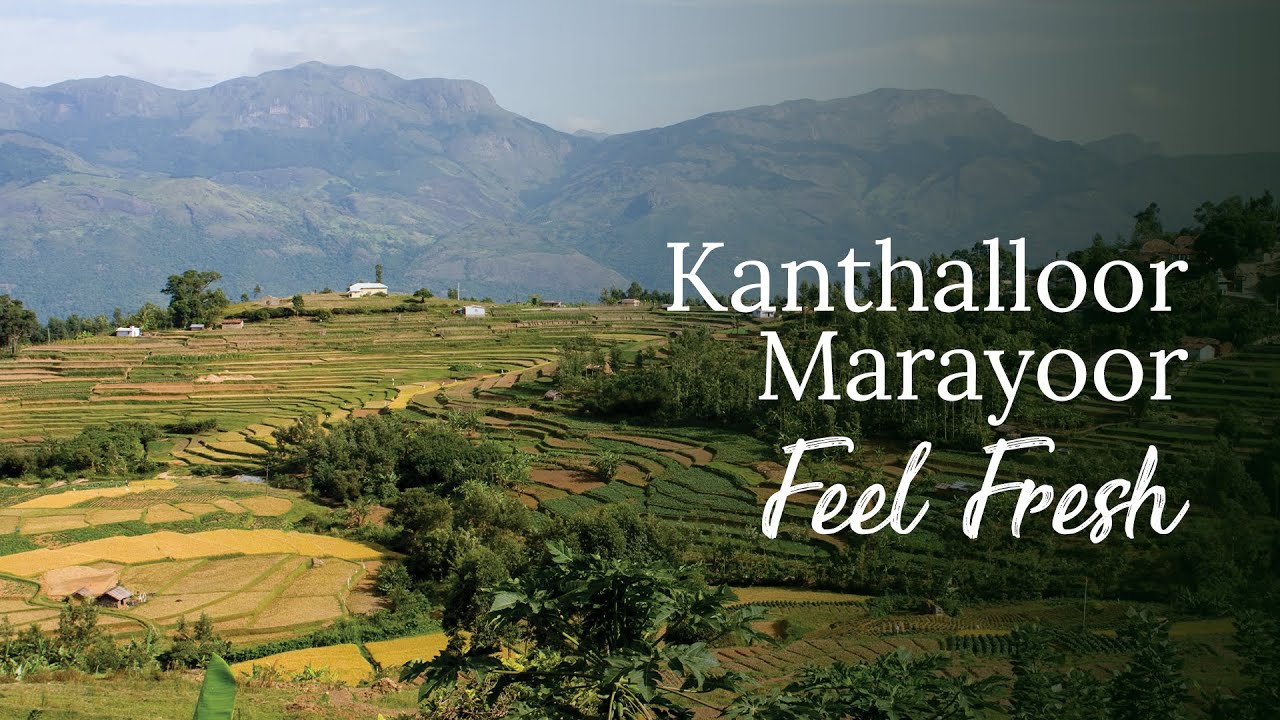 Kanthalloor-Marayoor | #BucketListDestinations | Kerala 365 | Kerala ...