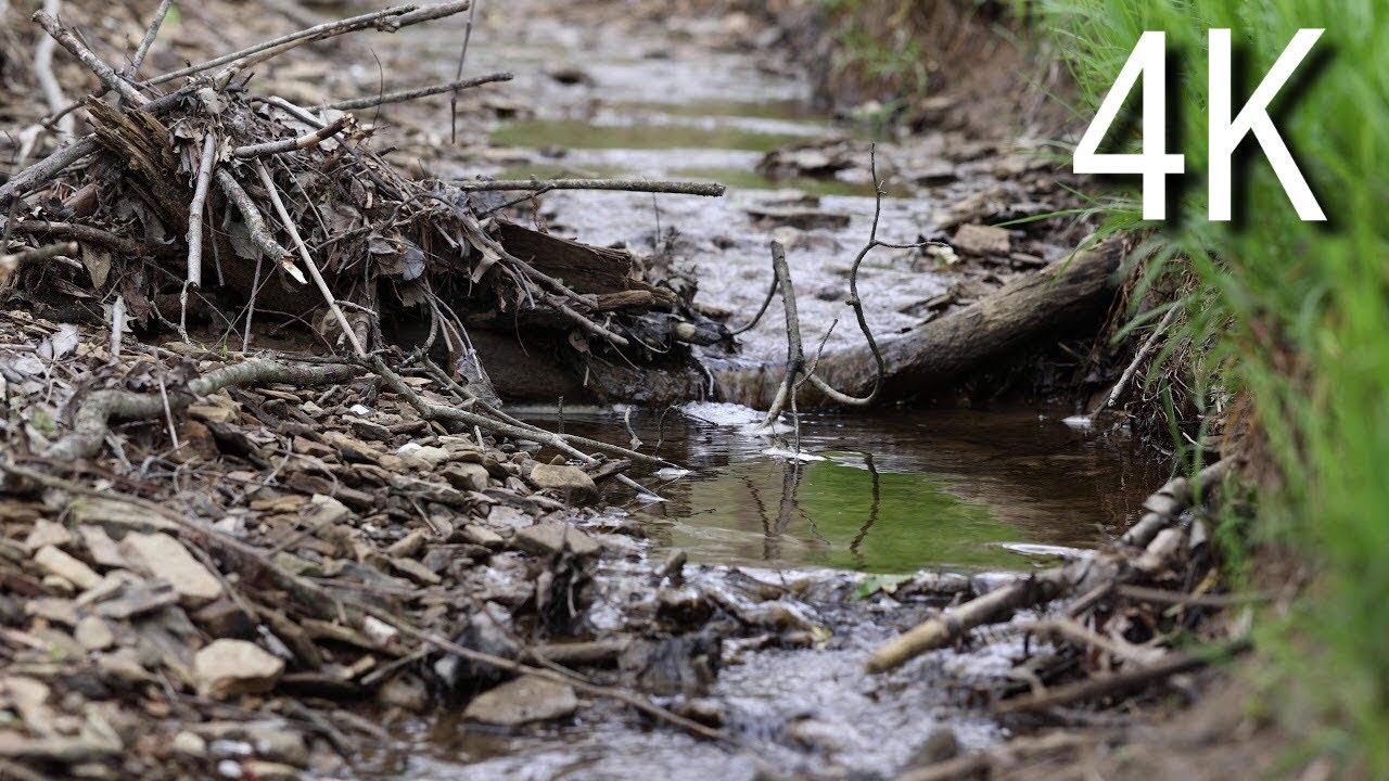 4K Flowing Water Meditation 10 Minutes, Forest Stream,Meditation for ...