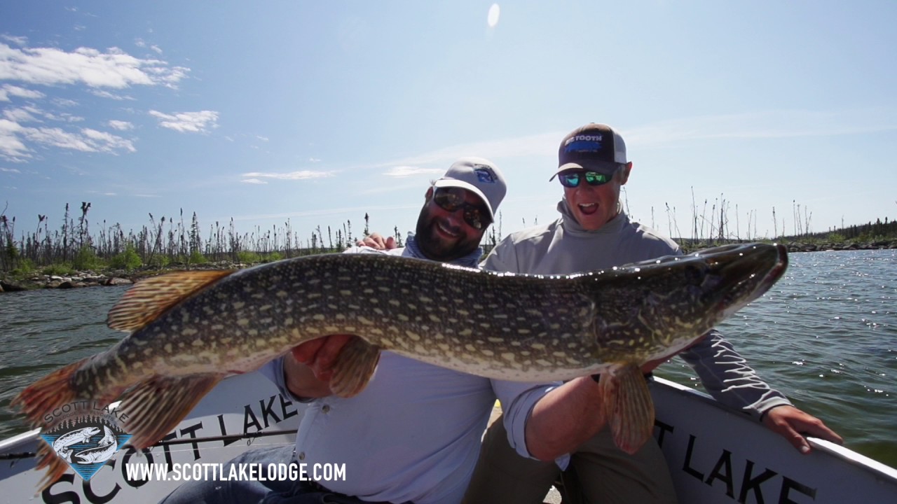 Fly Fishing For Northern Pike Videos at Thomas Gabaldon blog