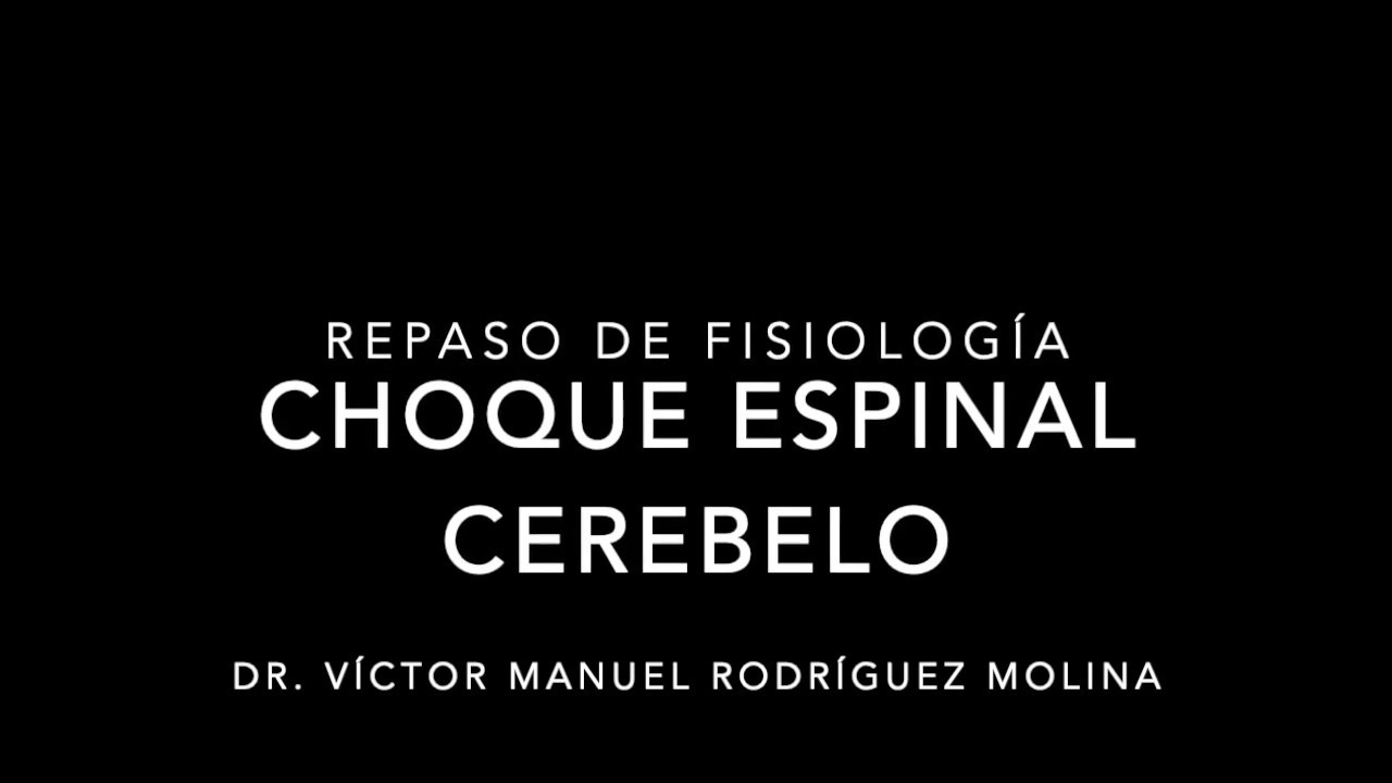 Repaso Fisiología: Choque espinal, Neurona motora superior, inferior y ...
