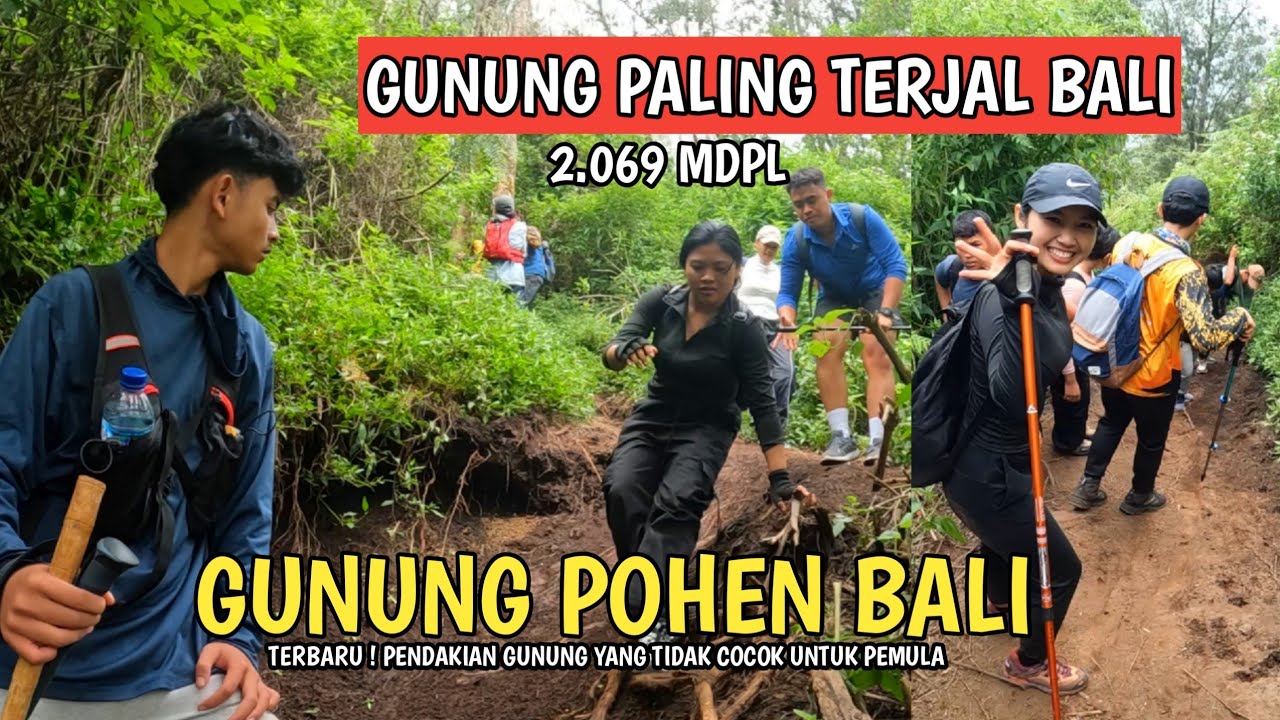 PENDAKIAN GUNUNG POHEN BEDUGUL BALI ! GUNUNG PALING TERJAL BALI - YouTube