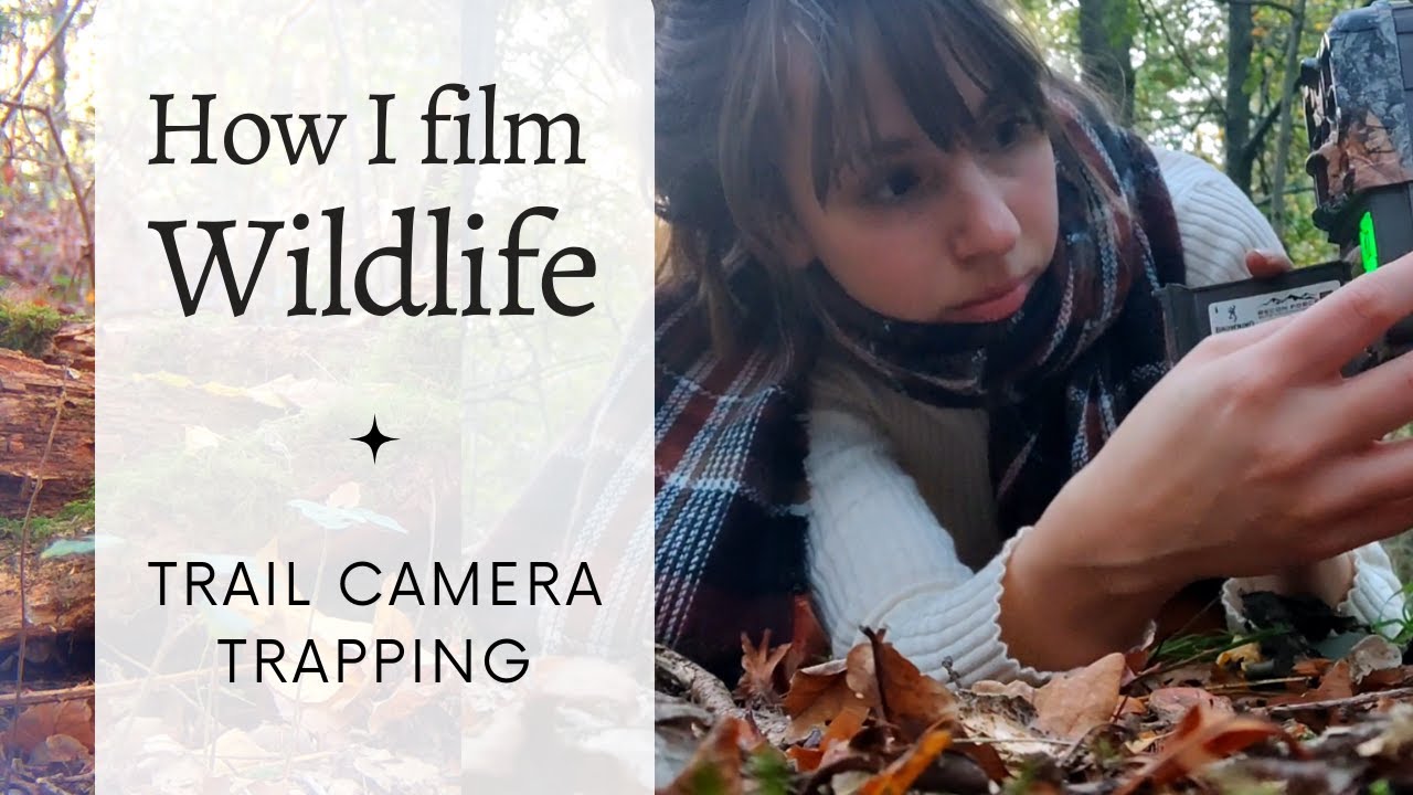 How I film Wildlife // Trail Camera trapping // Once Upon a Forest ...