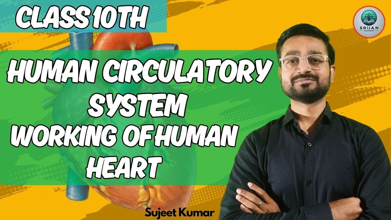 Human Circulatory System Class-10 Biology||Working of Human Heart ...