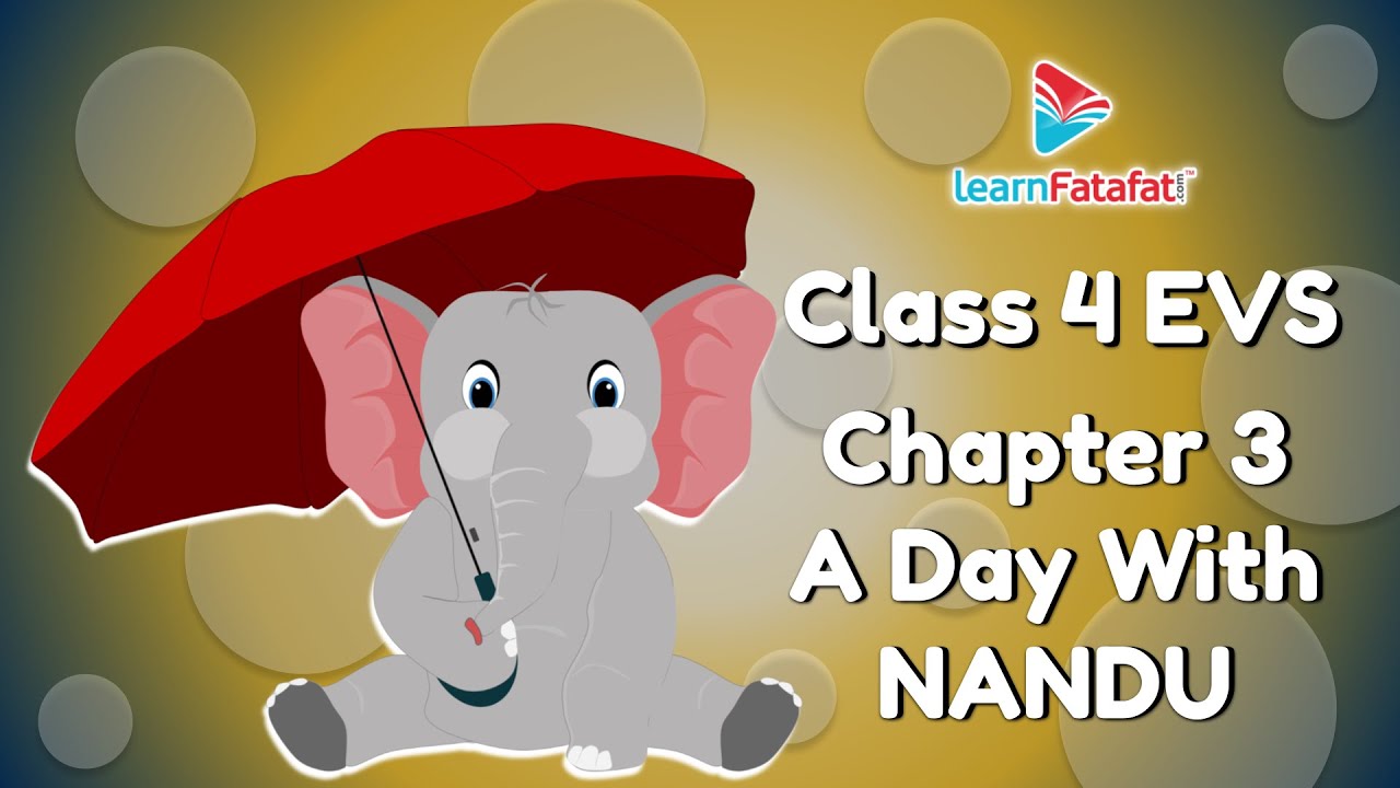 A Day With Nandu EVS Class 4 Chapter 3 - LearnFatafat - YouTube