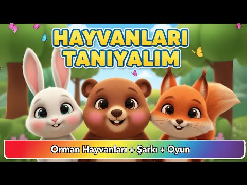 🐻 Hayvanları Tanıyalım! Orman Hayvanları + Eğlenceli Oyun + Hayvanlar Şarkısı | Eğitici Video