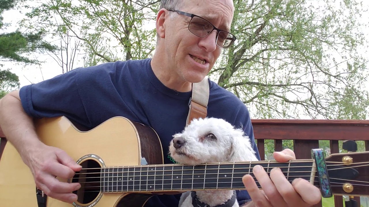 How Much is that Doggie in the Window Patti Page cover acoustic guitar ...