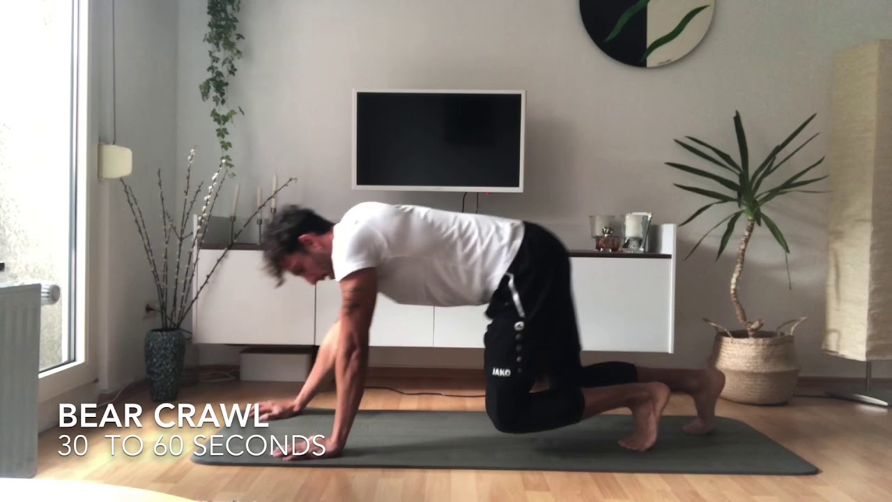 Bear Crawls - YouTube