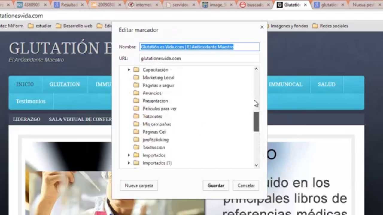 tutorial internet basico - YouTube