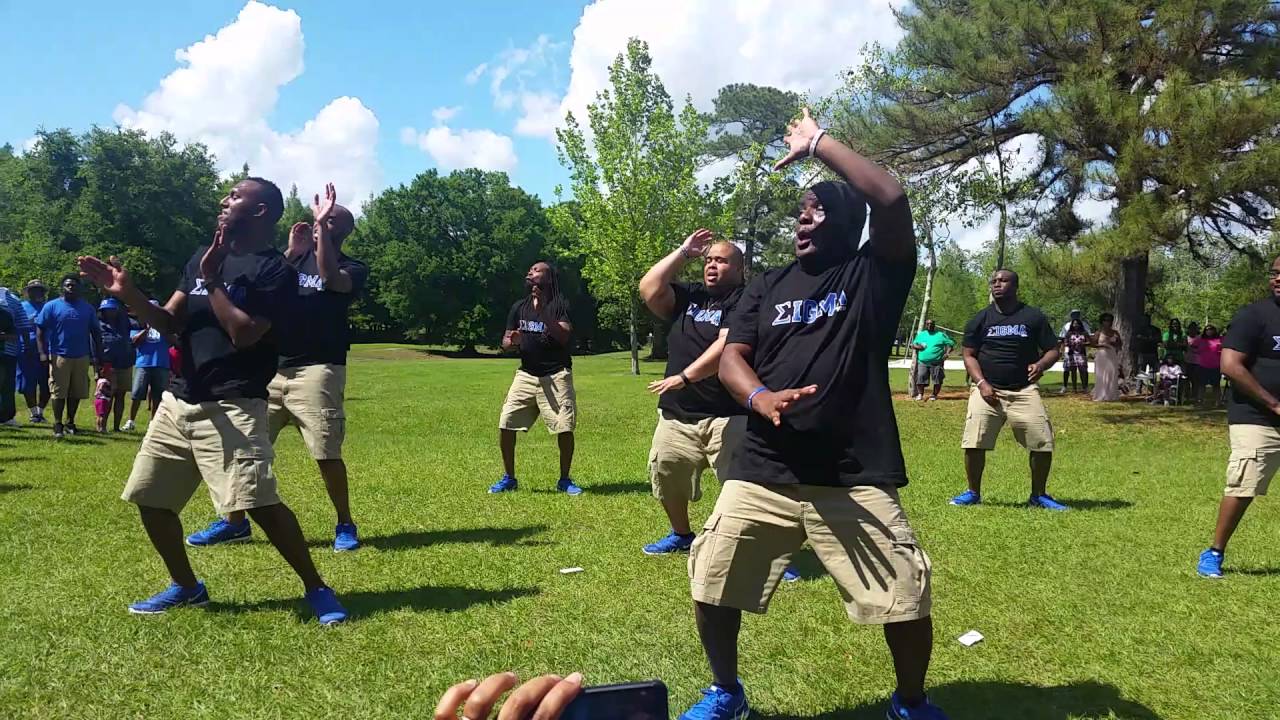 Orlando Sigmas stroll in 2016 Metro Orlando NPHC stroll competition ...