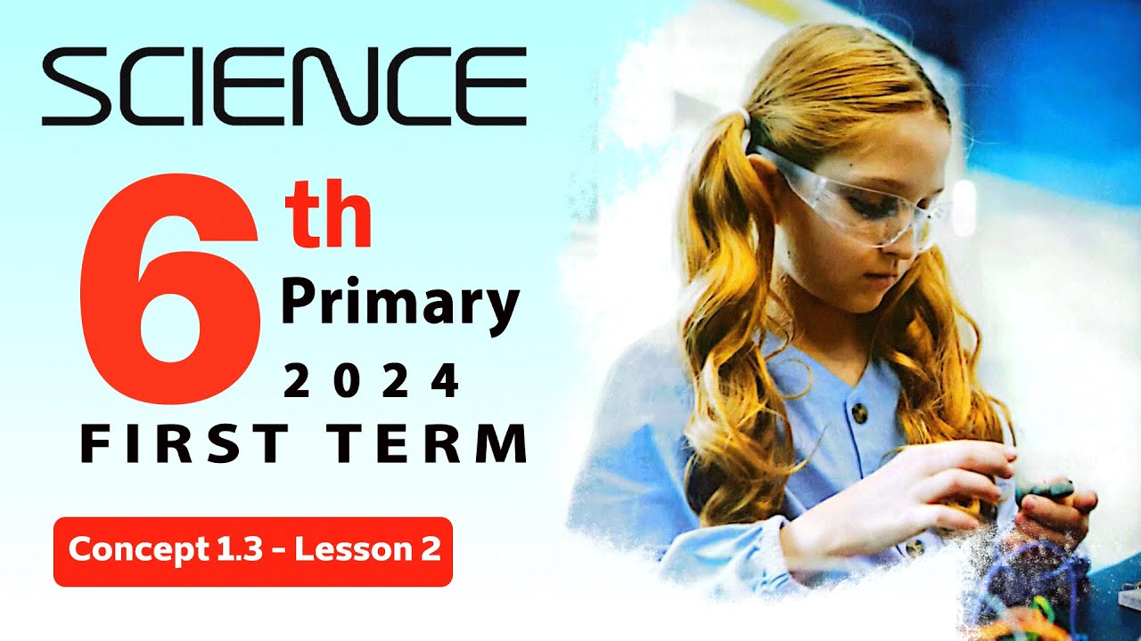Concept 1.3 | Science Grade 6 | Lesson 2 | كتاب المعاصر - YouTube