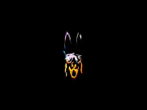 DogyStyle Coming Soon