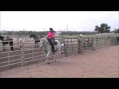 Working Equitation Intermediate Test - Pat - YouTube