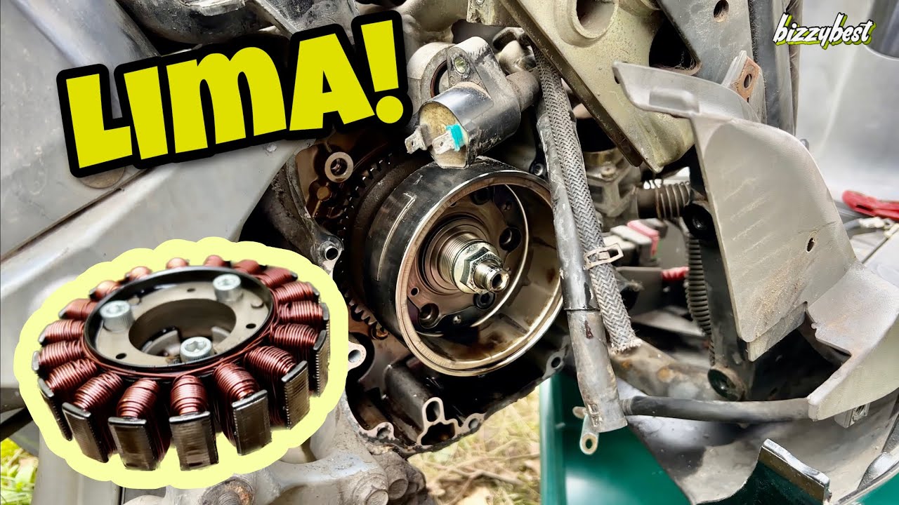 Roller Lichtmaschine Defekt Symptome