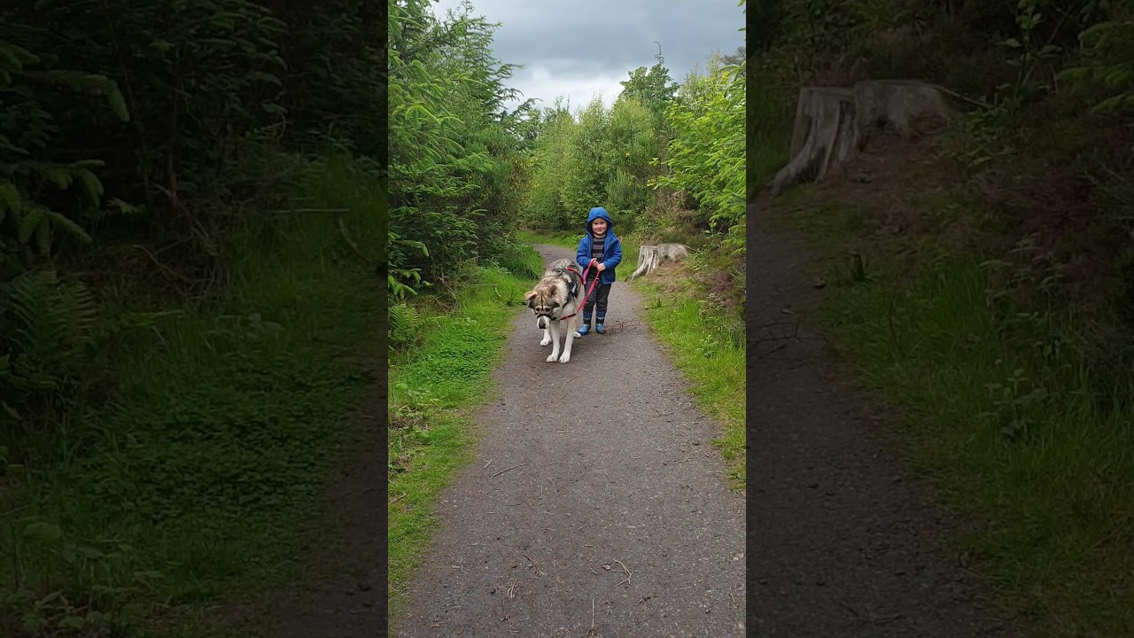 Northern Inuit - Ghost - YouTube