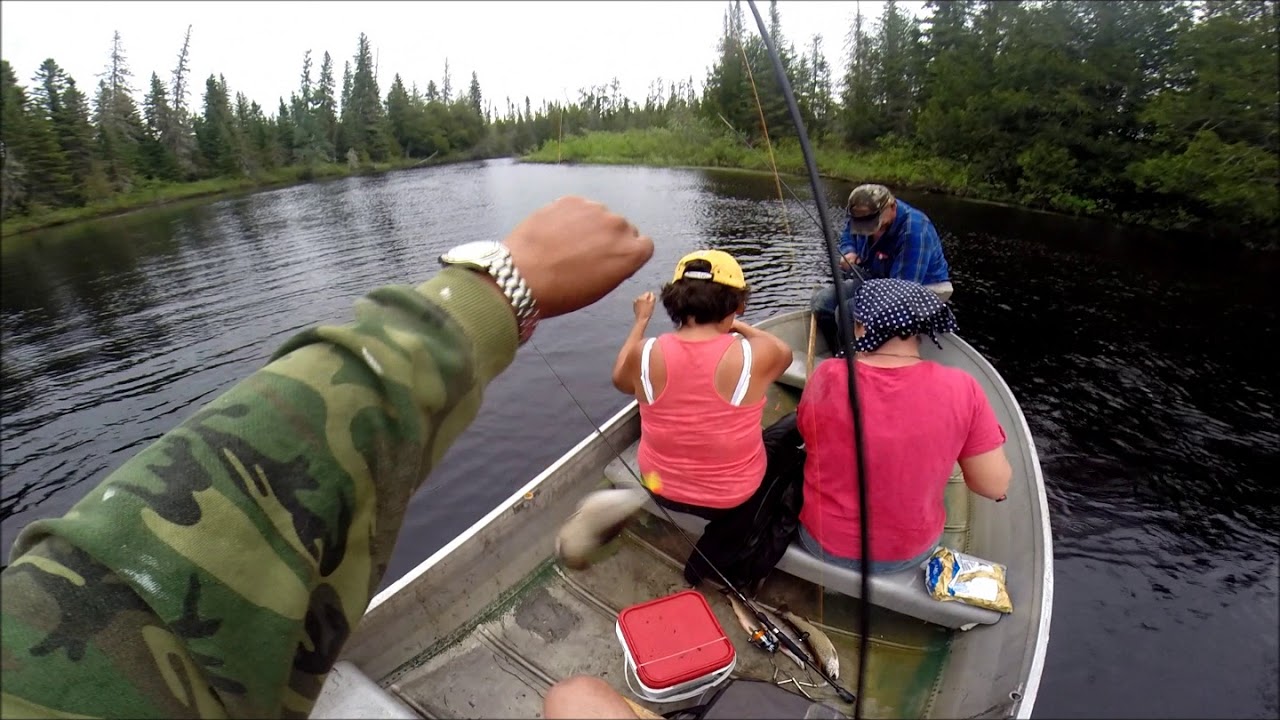 triple header brook trout - YouTube