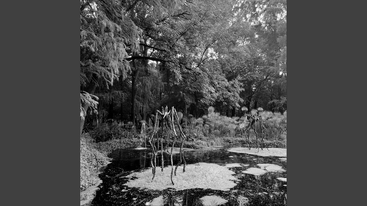 Déjame Sola! (feat. Amy Taing) - YouTube