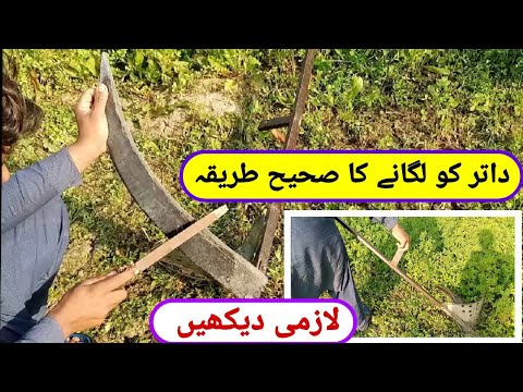 hand fodder cutting machine animals || viral video || Salam Vehari ...