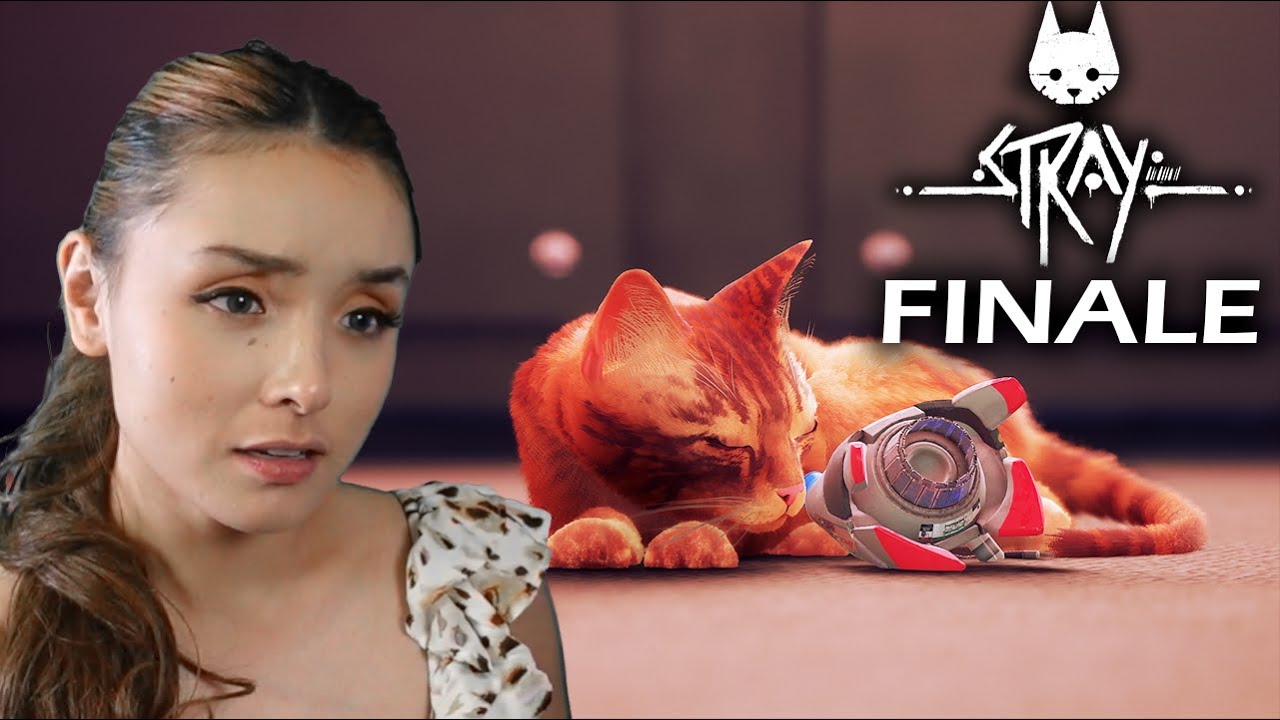 Stray ENDING Finale | Gameplay Walkthrough Playthrough Reactions PS5 ...