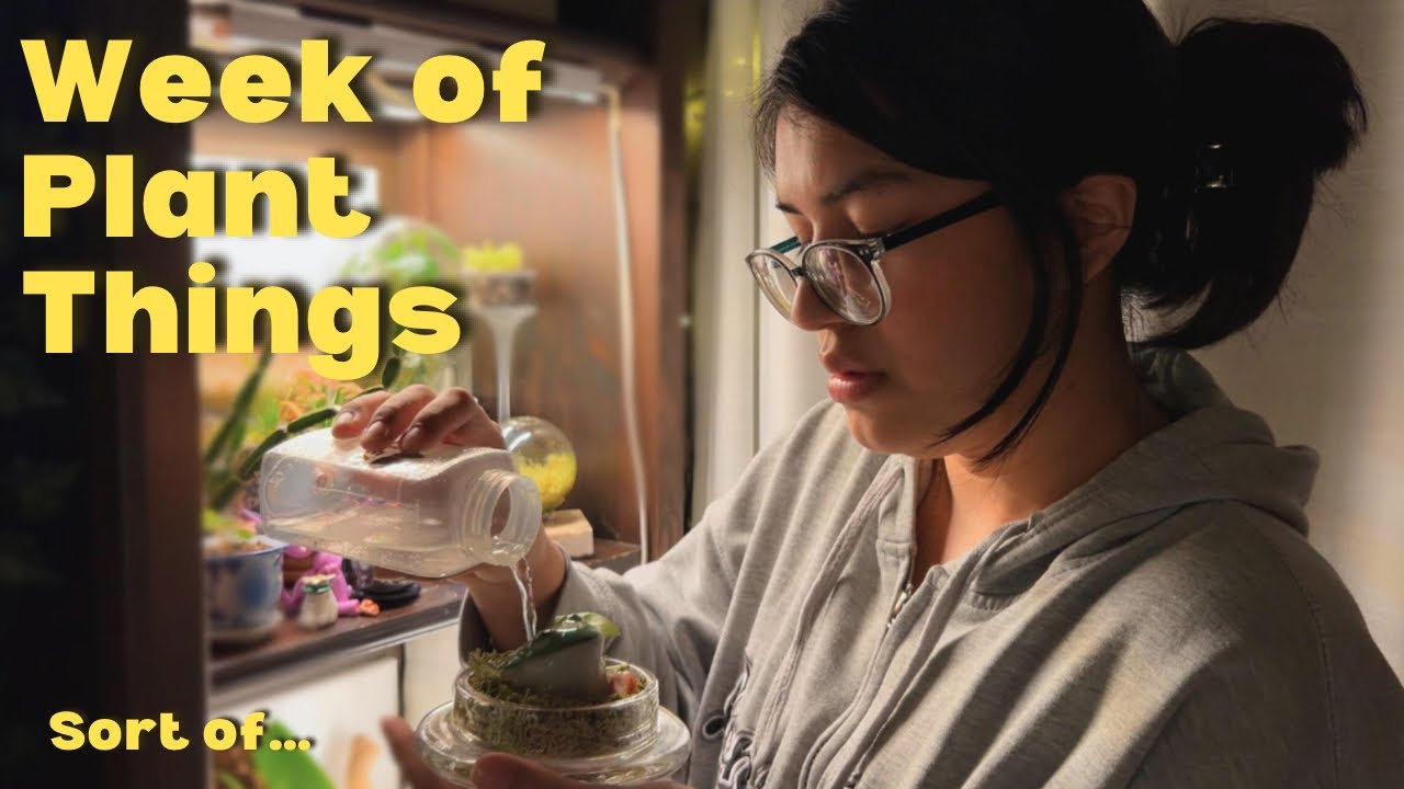 A Week of Plant Things! Plant chores, NWFGS & New Plants - YouTube