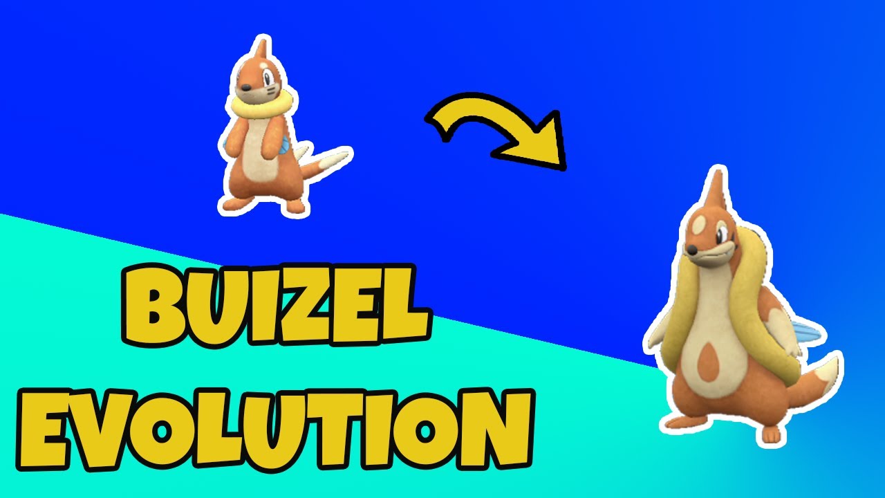 How to Evolve Buizel | Floatzel | Pokemon Scarlet & Violet - YouTube