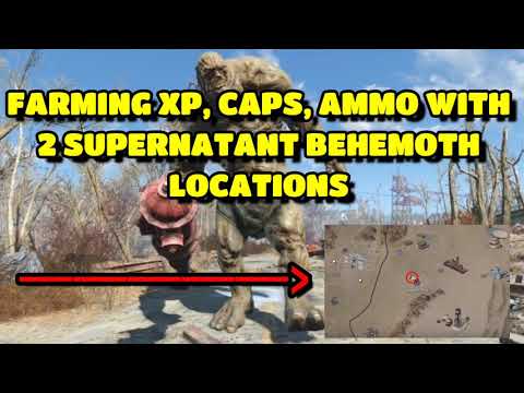 FALLOUT 76 | EASY XP FARMING METHOD | HIGH LEVEL FARM | AMMO, CAPS, AND ...