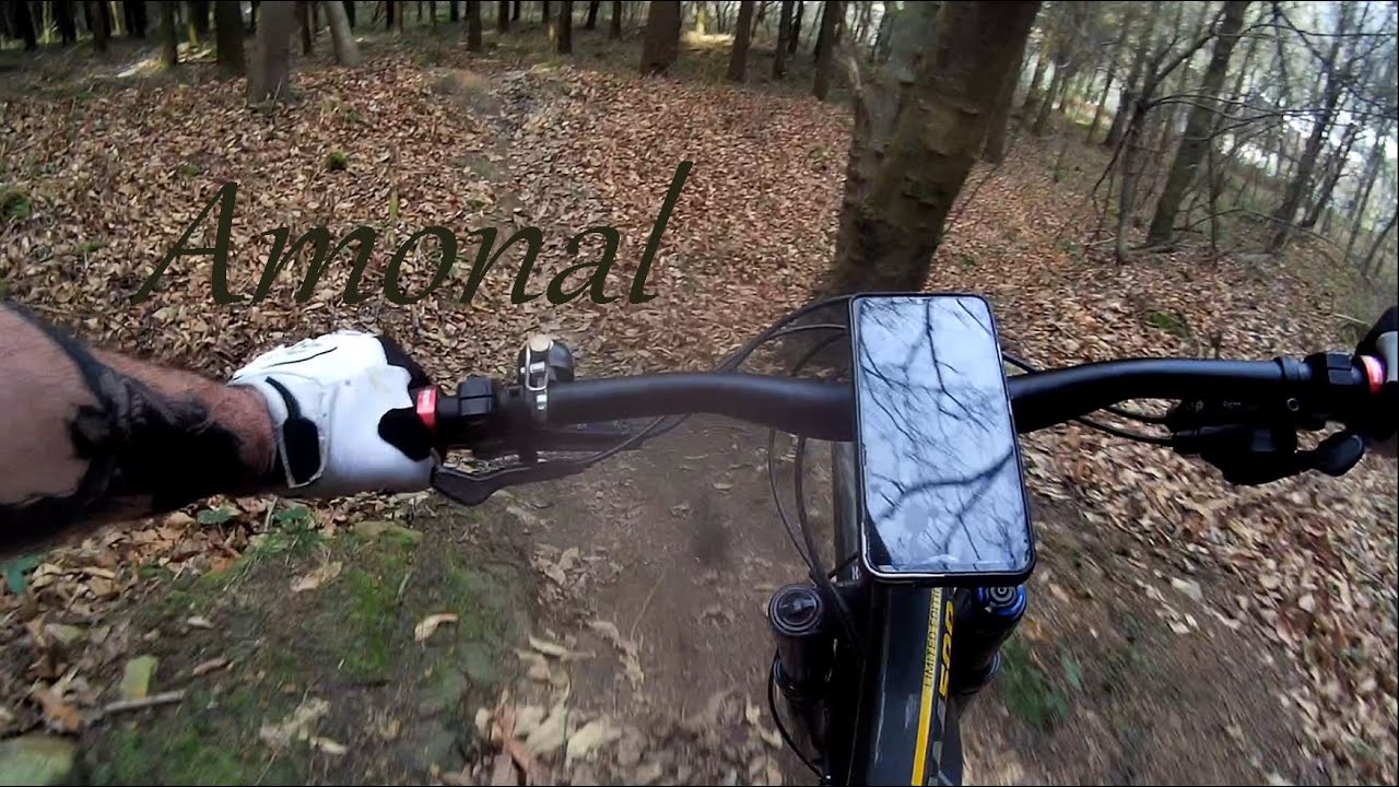 Amonal, El Vivero. 15/02/24 - YouTube