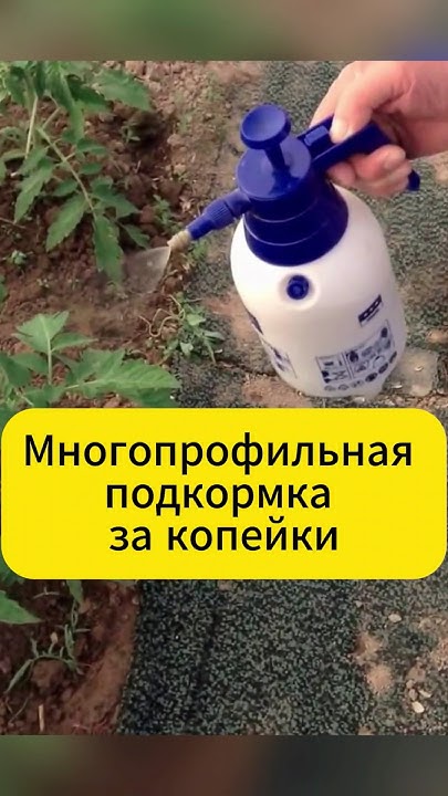 Лучший стимулятор для всех огородных культур! #огород #сад #дача # ...