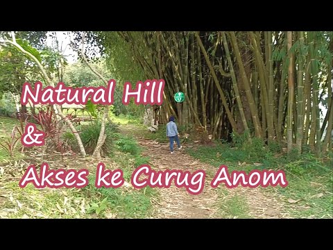 Wisata ke Natural Hill Bandung ada akses menuju Curug Anom - YouTube
