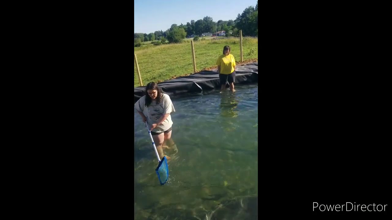 DIY POOL REDNECK MUKK STYLE - YouTube