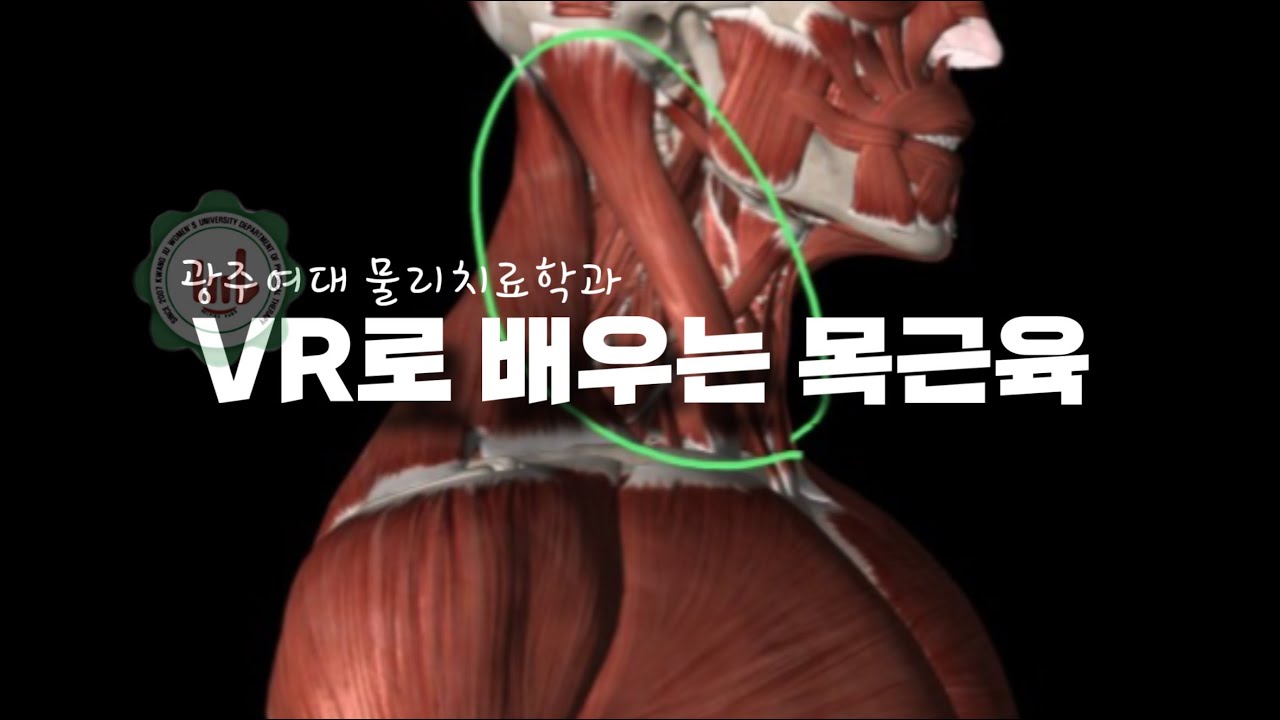 [VR 해부학 8편] #VR로배우는목근육 #muscle #움직임전문가 #기능해부학 - YouTube