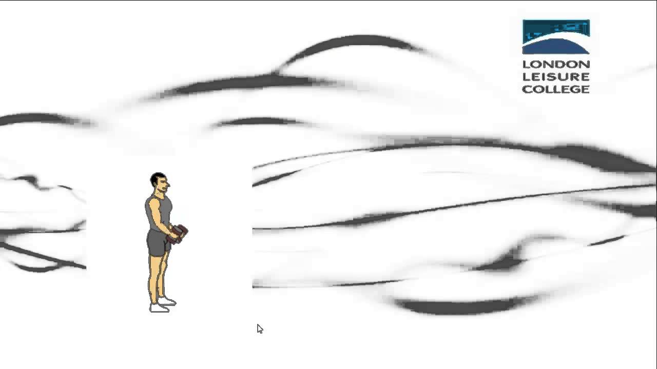 Muscle Theory - Agonists, antagonists, synergists and fixators - YouTube