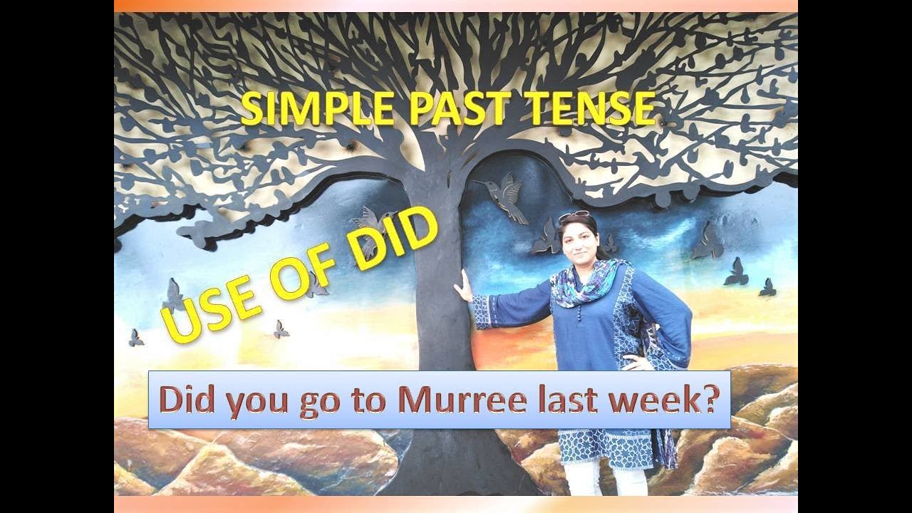 USE OF DID | SIMPLE PAST TENSE | VERBS'S FORMS IN PAST TENSE | - YouTube