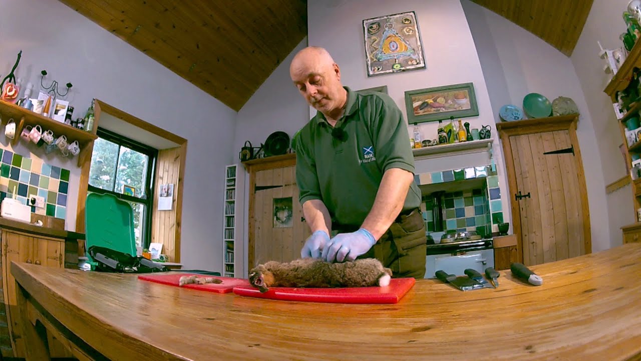 How to skin and joint rabbit - YouTube