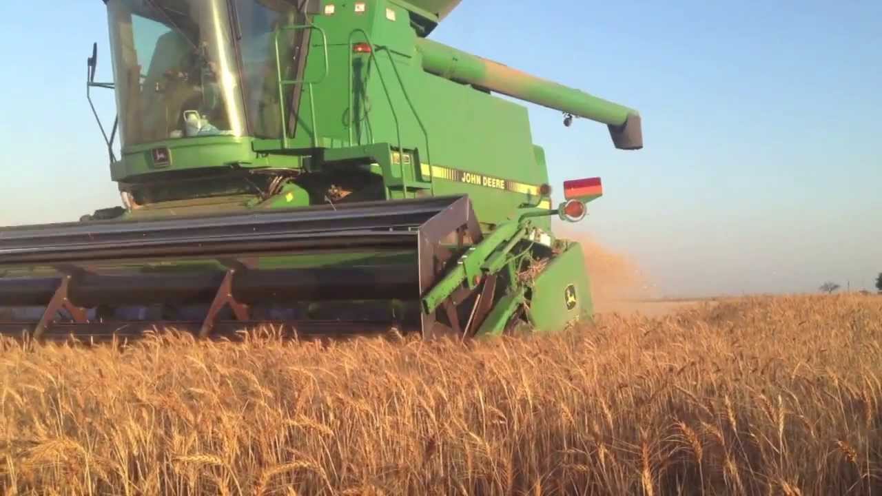 2013 West Texas Wheat Harvest - YouTube
